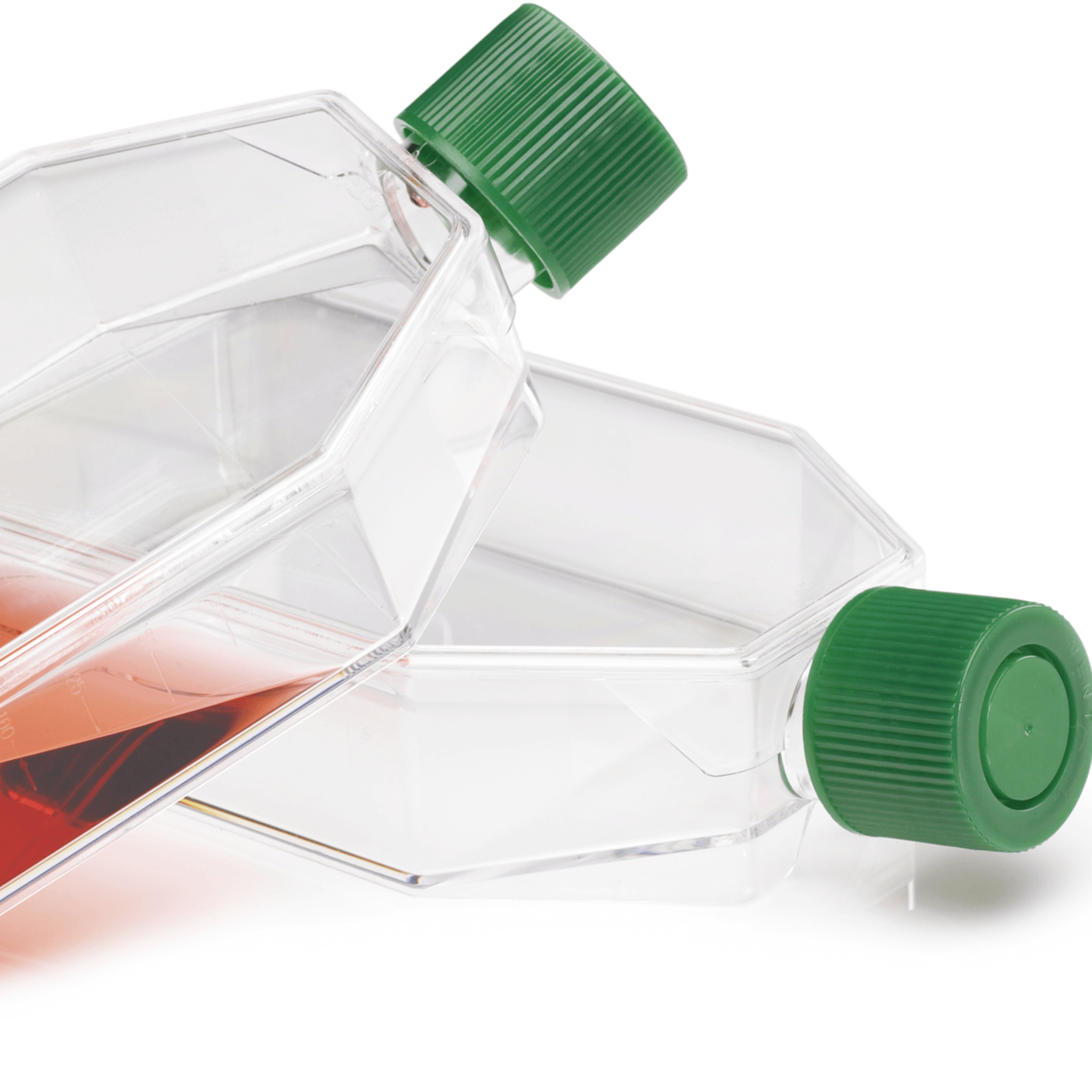 Cell culture flasks – Vingmed